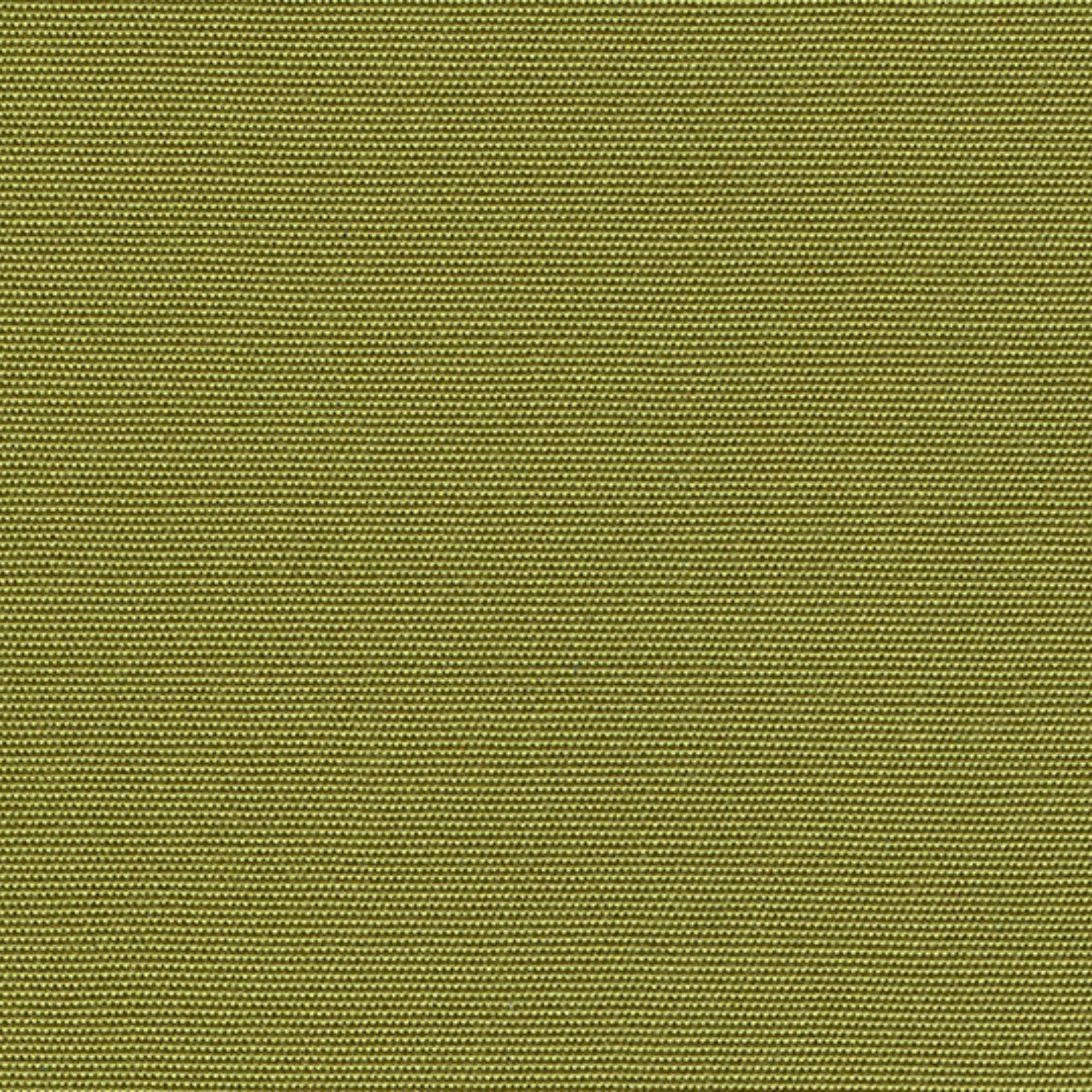Recasens Recacril Marine Canvas Fabric - R-160 Pistachio ...