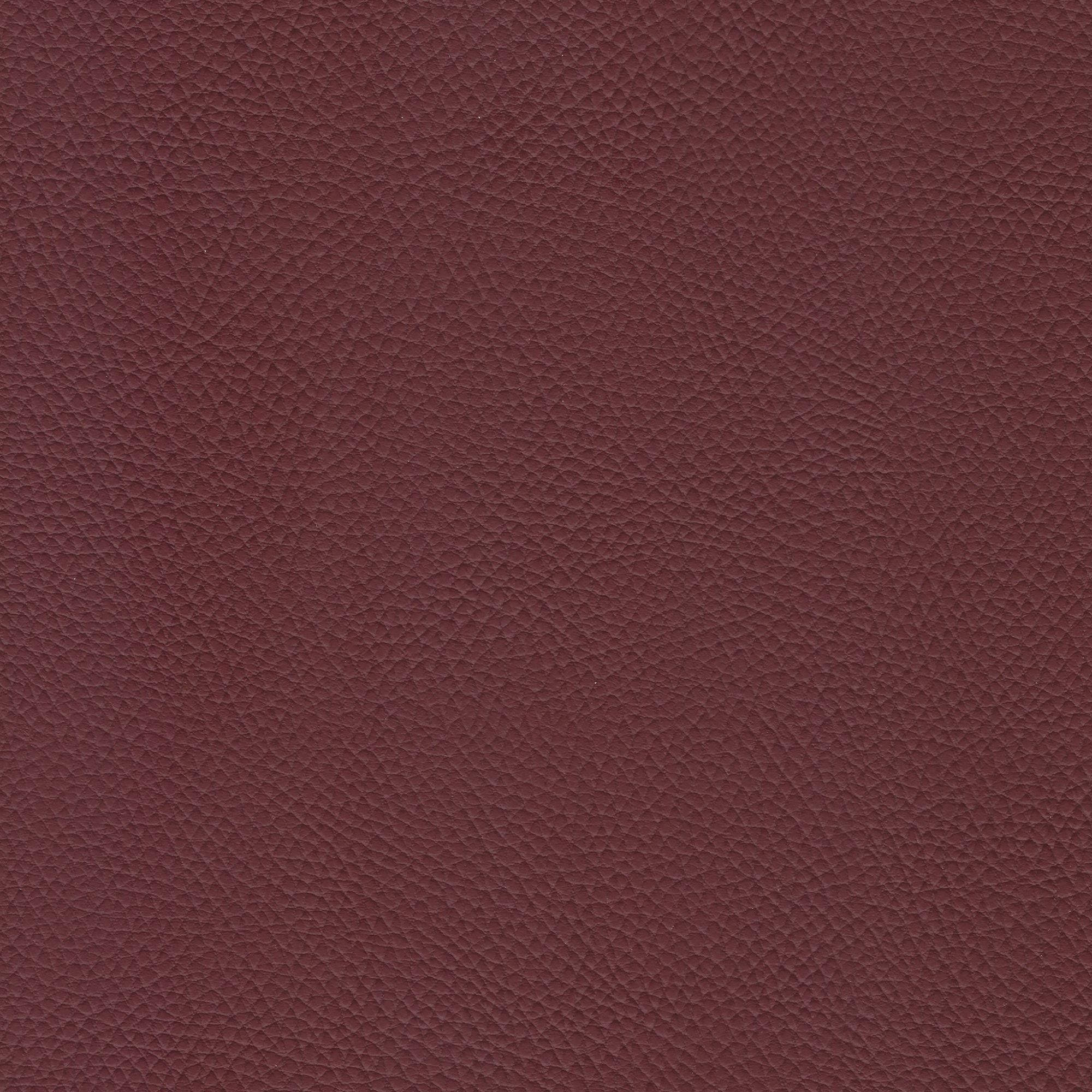 Spradling – AutoMarinePro.com